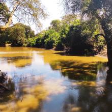 Makuleke Wetlands | Ramsar Sites Information Service