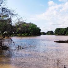 Makuleke Wetlands | Ramsar Sites Information Service