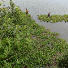 Udhwa Lake Bird Sanctuary | Ramsar Sites Information Service